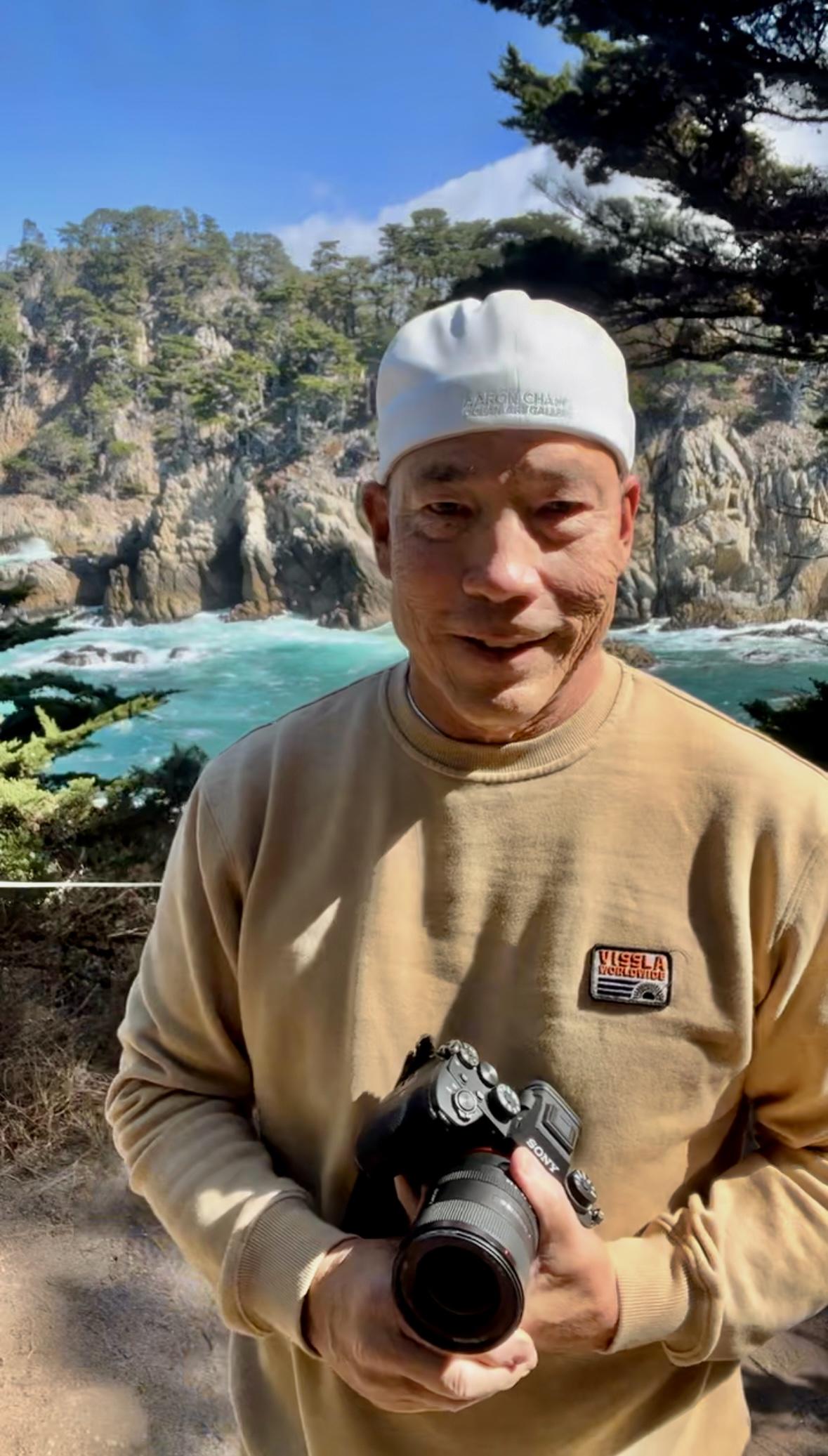 Cypress Cove: Nature Photography by Aaron Chang