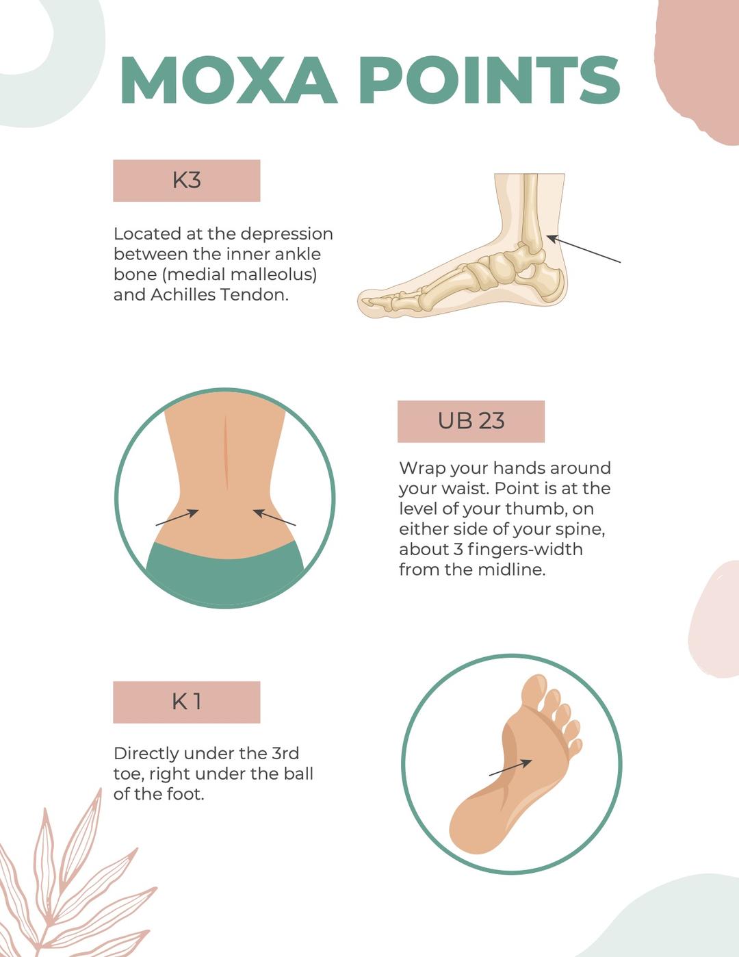 moxa guide | Wisdom of the Womb