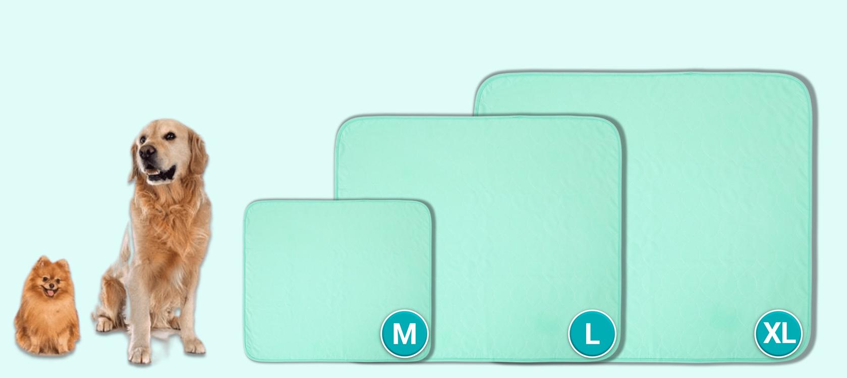 Quick Dry Pee Pads - Dry Guard™ Reusable Pads - Potty Buddy™