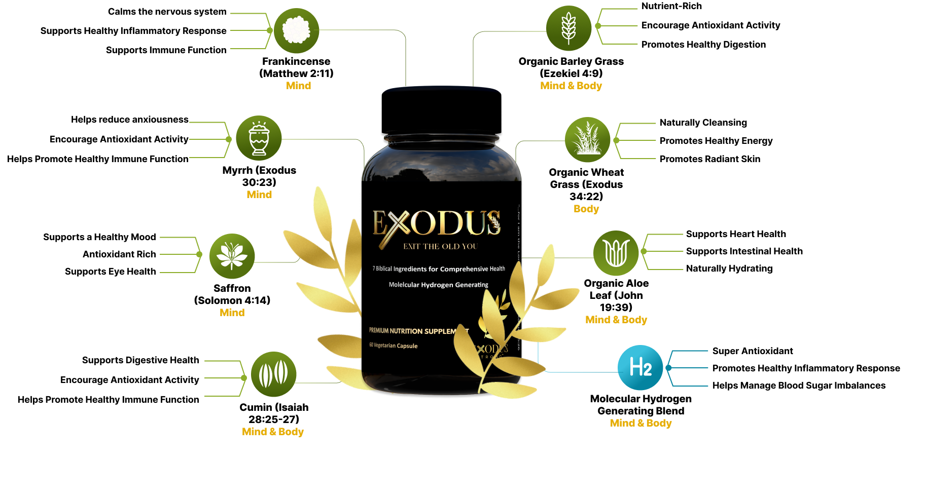 Exodus Strong
