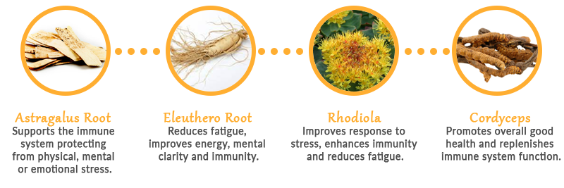 Adaptisol - Herbal Adrenal Support — Women's Health Network