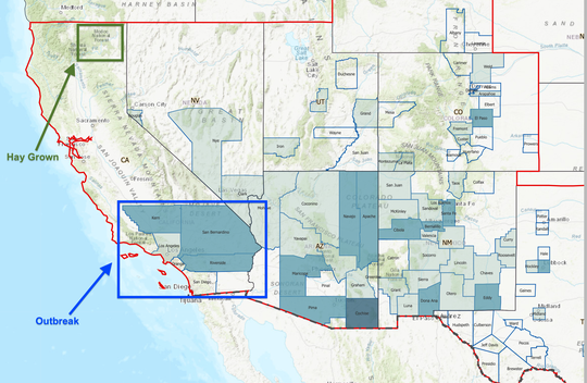 RHDV2 - Critical Information & FAQ's [Updated 2/5/2021] | Rabbit Hole Hay