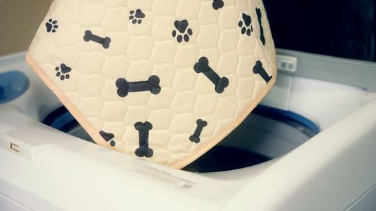 How to Wash Your Reusable Pee Pad - Potty Buddy™