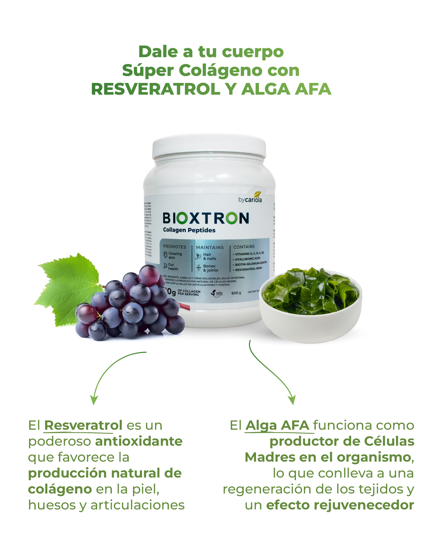 Bioxtron | Collagen Peptides