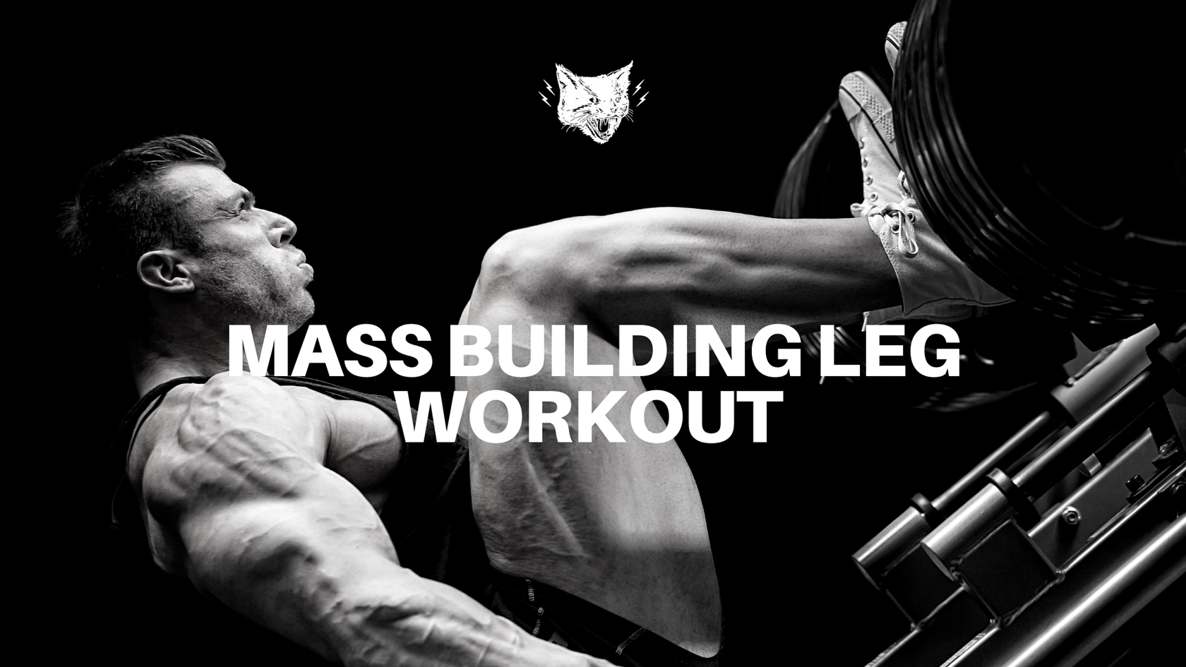 Mass Building Leg Workout – Black Magic Supply