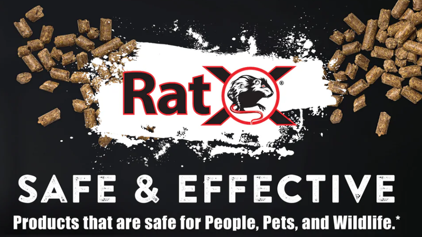 RatX Landing Page 2024