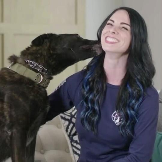 Project K-9 Hero Assistance Programs