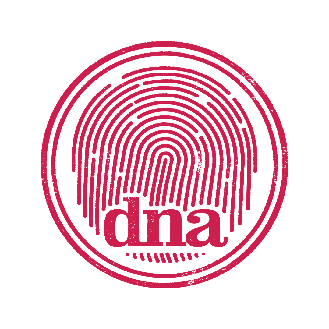 Discmania Mystery Box - Mystery Bistro – Discmania Store