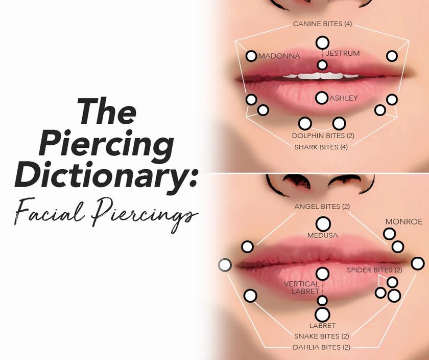 The Piercing Dictionary: Facial & Lip Piercings – BodyCandy
