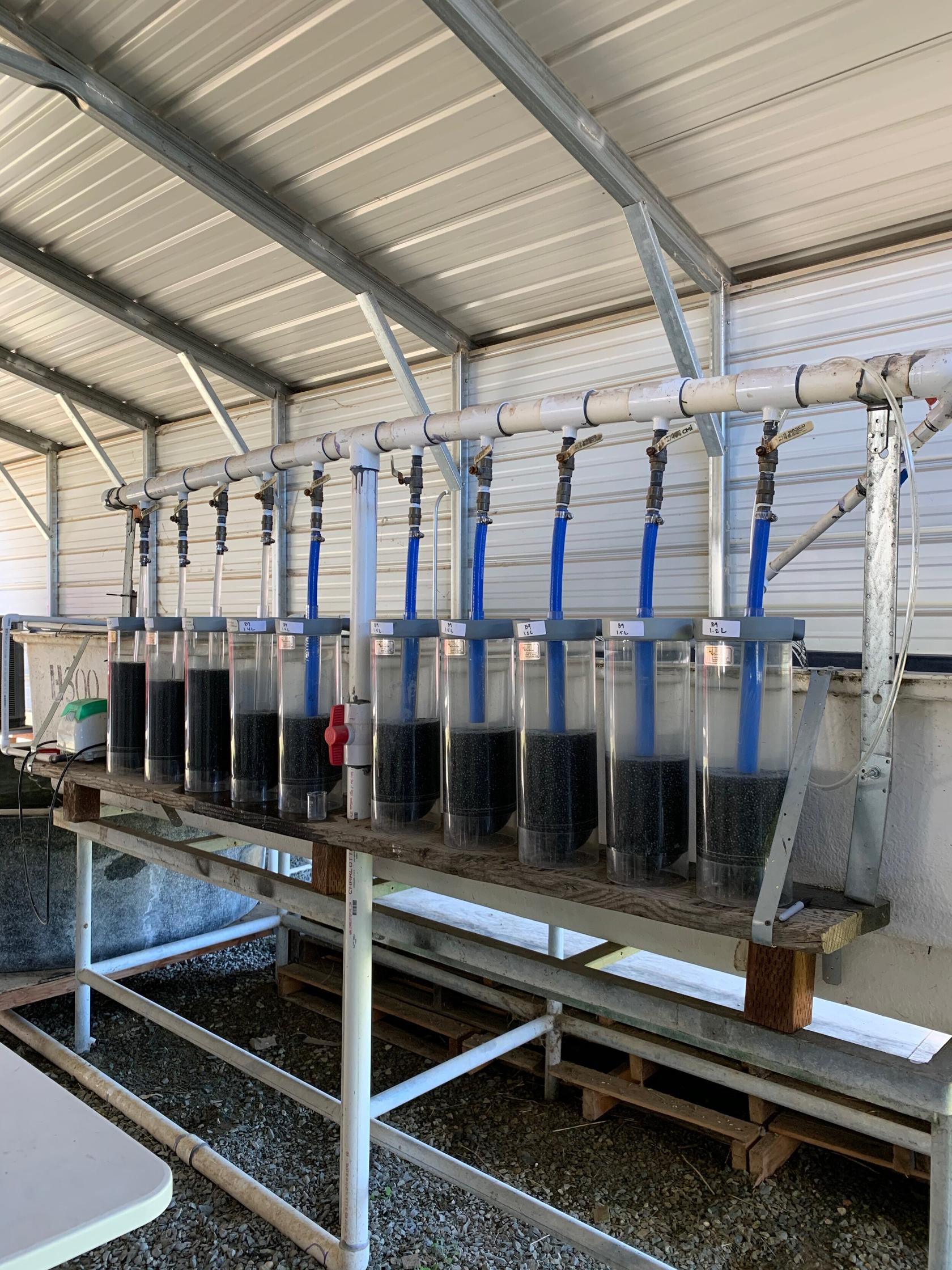 About Us – Tsar Nicoulai Caviar