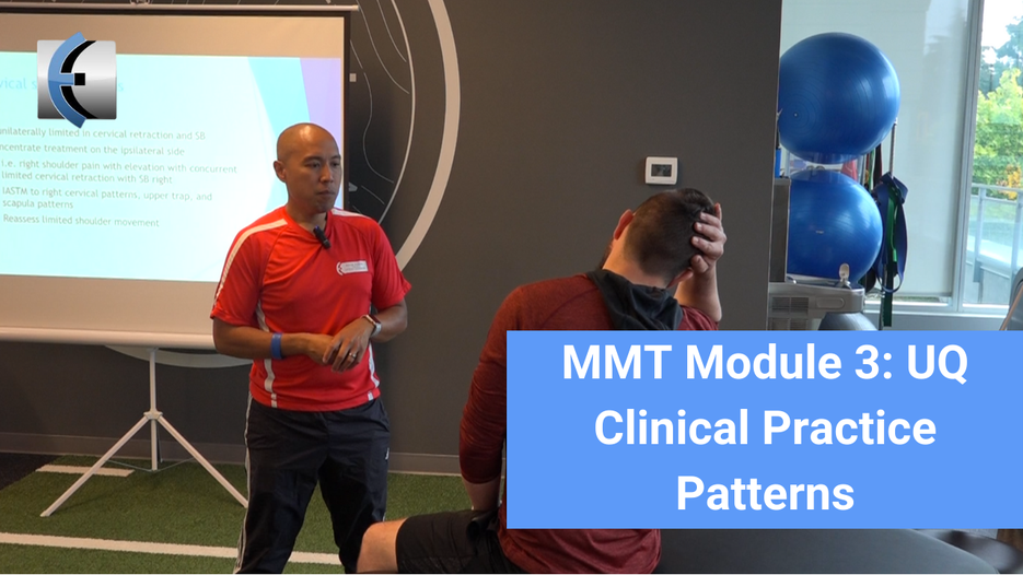 Modern Manual Therapy: The Eclectic Approach to UQ and LQ Assessment a