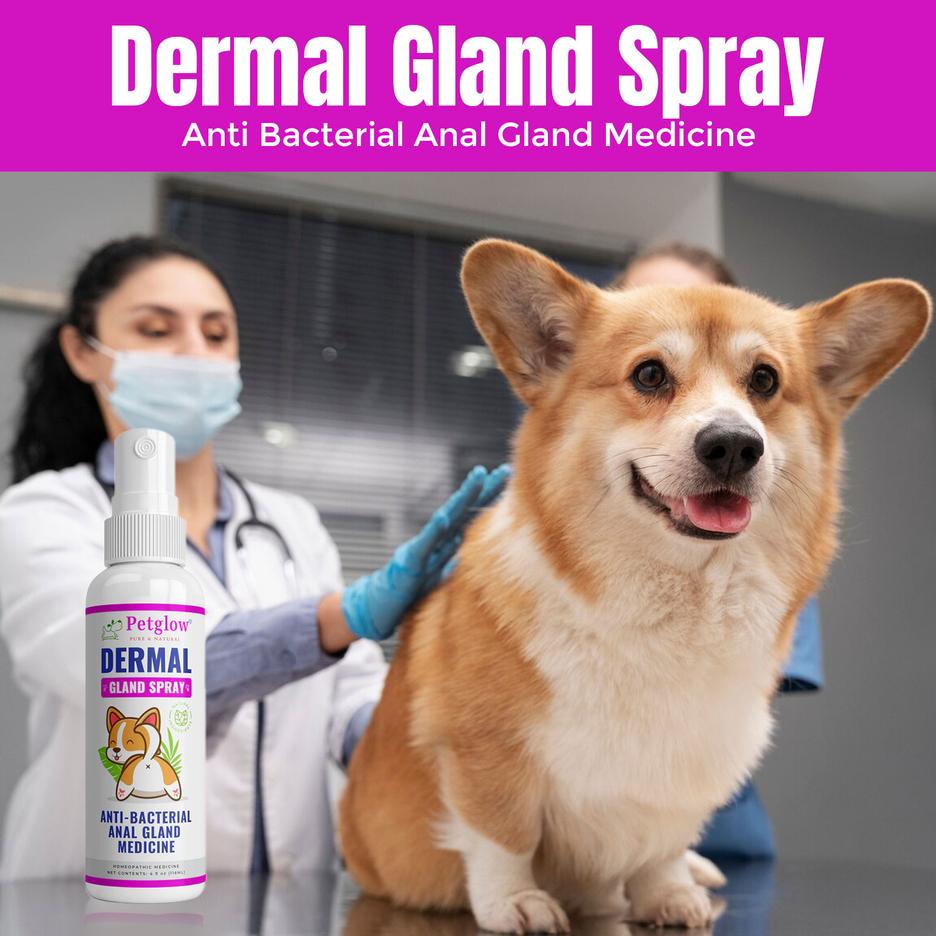 PetGlow Anal Gland Spray for Dogs & Cats | Infection Treatment