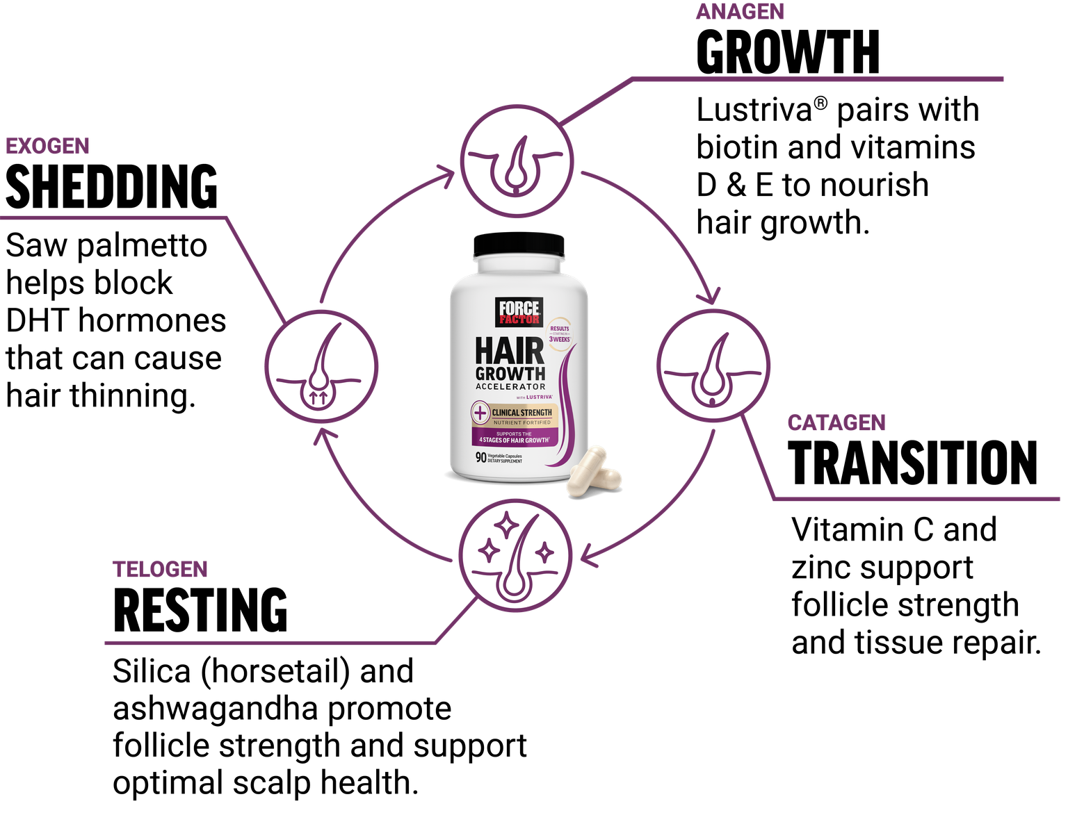 Hair Growth Accelerator