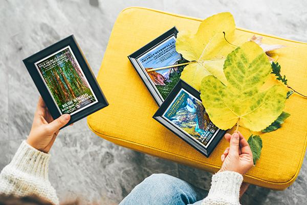 National Park Postcards - Save on Stunning WPA-Style Artwork – National ...