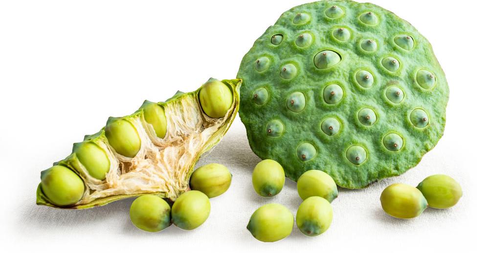 Calminous Overnight-Moisture Mask | The Ayurveda Experience