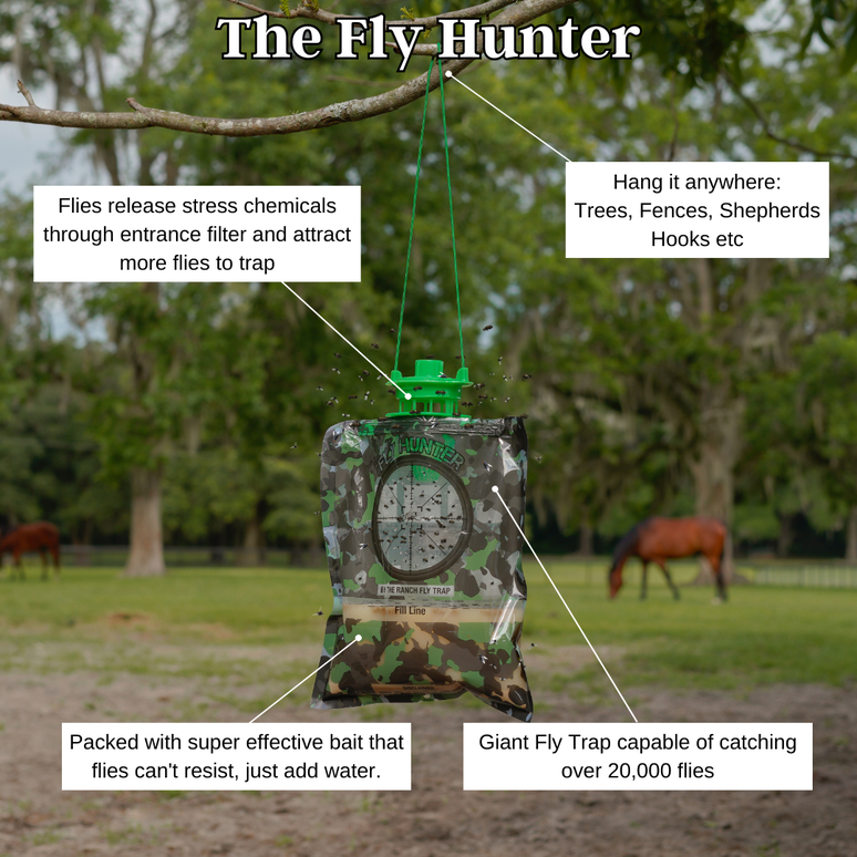 The Ranch Fly Trap – The Ranch Pest Control