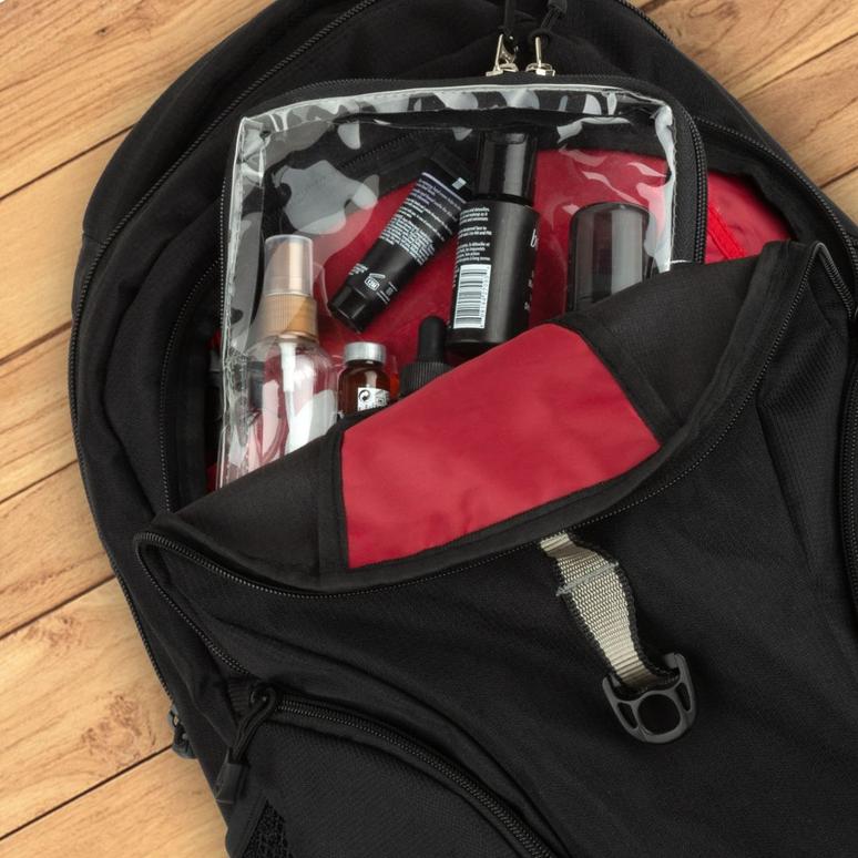 Clear Quart Size Bag -TSA Approved (2024)