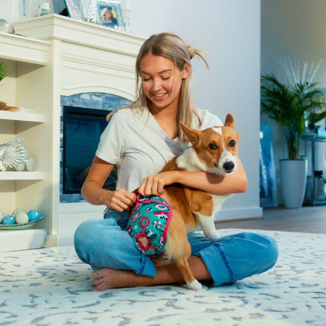 How to Choose the Best Dog Diapers - The Complete Guide - Potty Buddy™