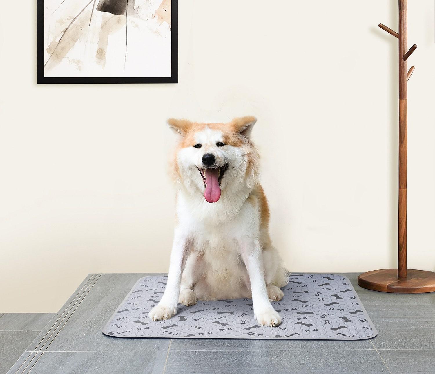 Potty Buddy™ - The Durable Leak-Free Potty Pad