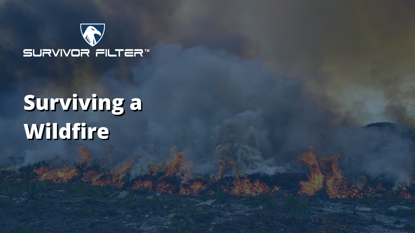 Surviving a Wildfire – Survivor Filter