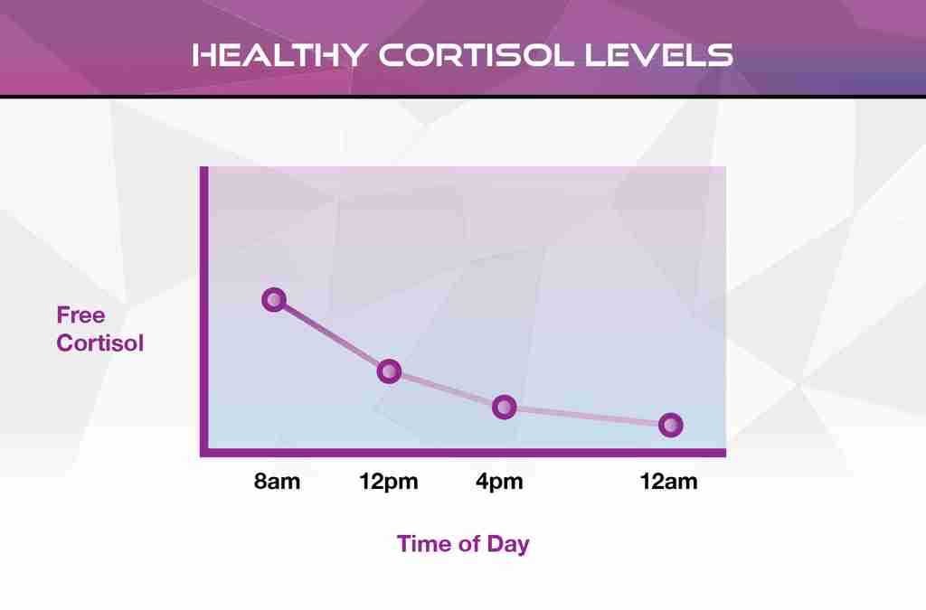High Risk Of High Cortisol – Martin Clinic
