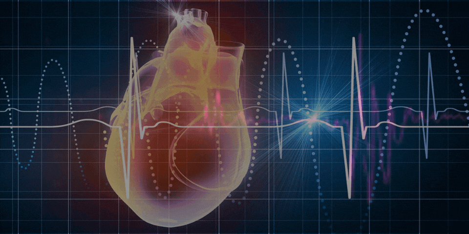 Essential Heart-Healthy Smartwatch For Individuals Over 50 – Affordabl