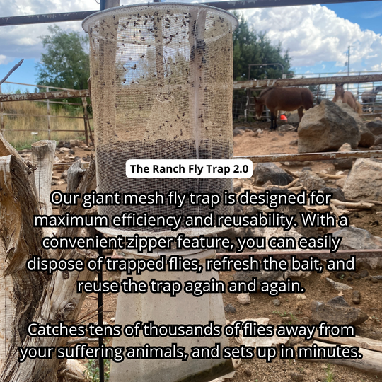 The Ranch Fly Trap – The Ranch Pest Control