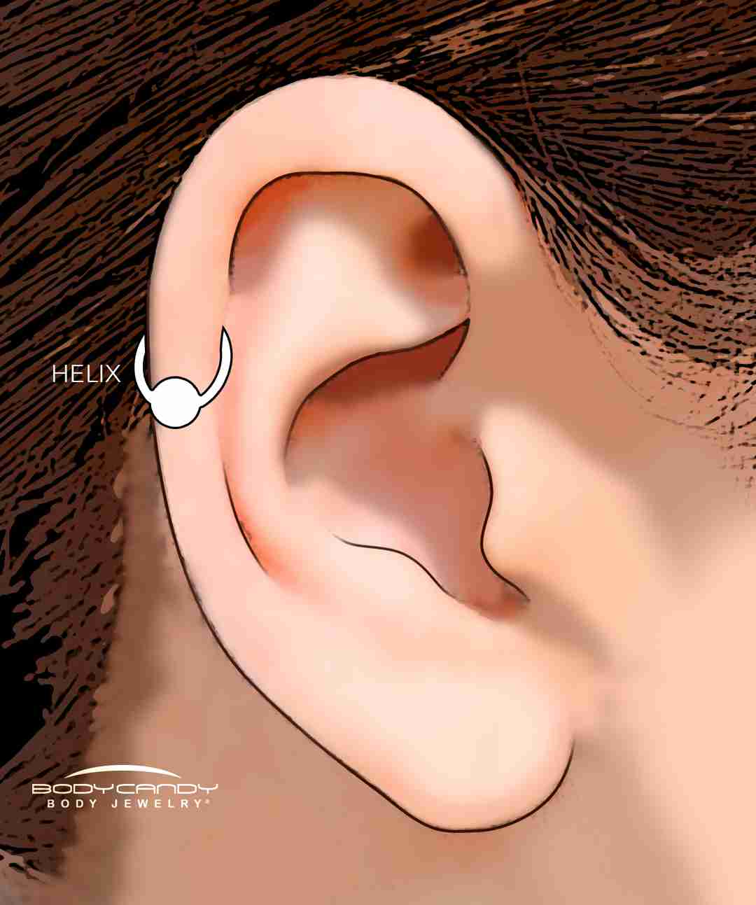 The Piercing Dictionary: Ear Piercings – BodyCandy