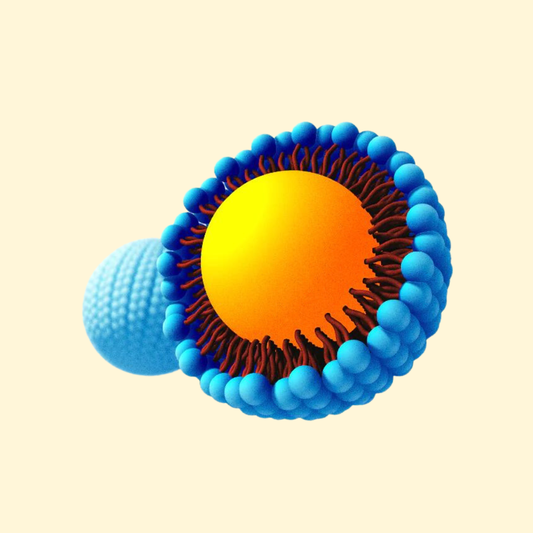 Good V's bad Inflammation | KURK