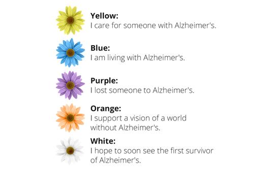 ALZ landing page - Staggerings, LLC