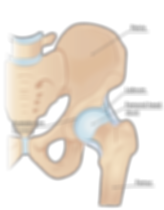 When and Why You Should NOT Take Collagen After Surgery
