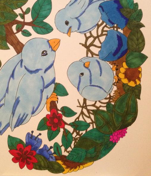 Freebie Friday 05-31-19 Colors of Nature Coloring Page