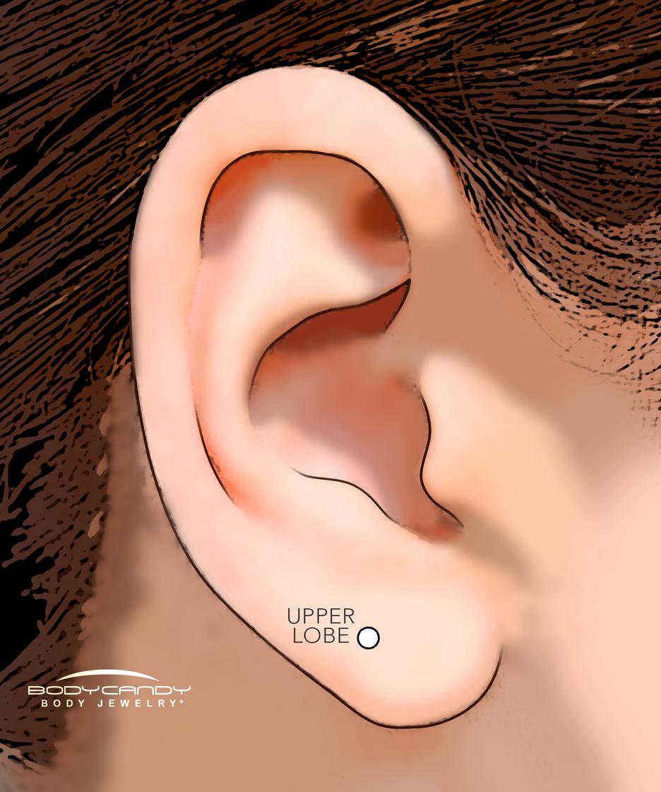 The Piercing Dictionary Ear Piercings Bodycandy