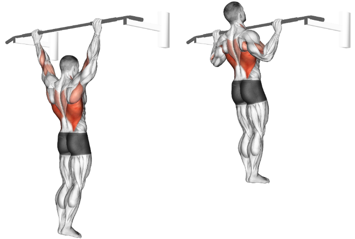 Five Essential Back Exercises for Bigger & Stronger Lats – Astroflav