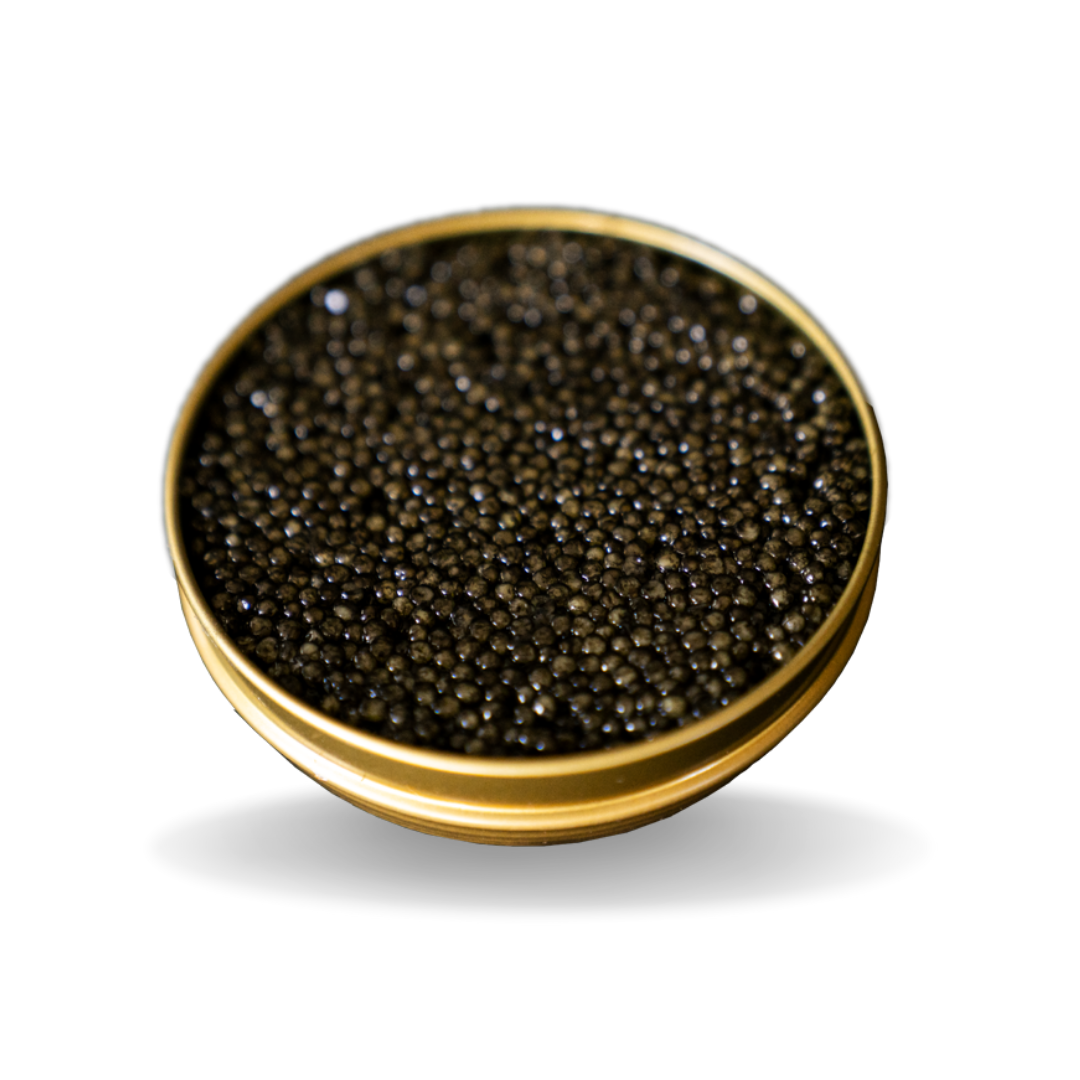 Unveiling the Cost: How Much is Caviar and Why is it So Expensive ...