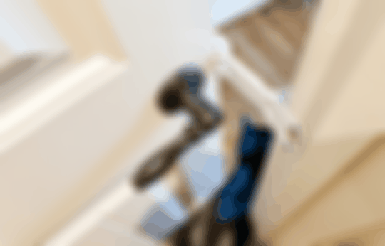 How Door Buddy Cat Door Prop Can Benefit Cat and Dog Owners