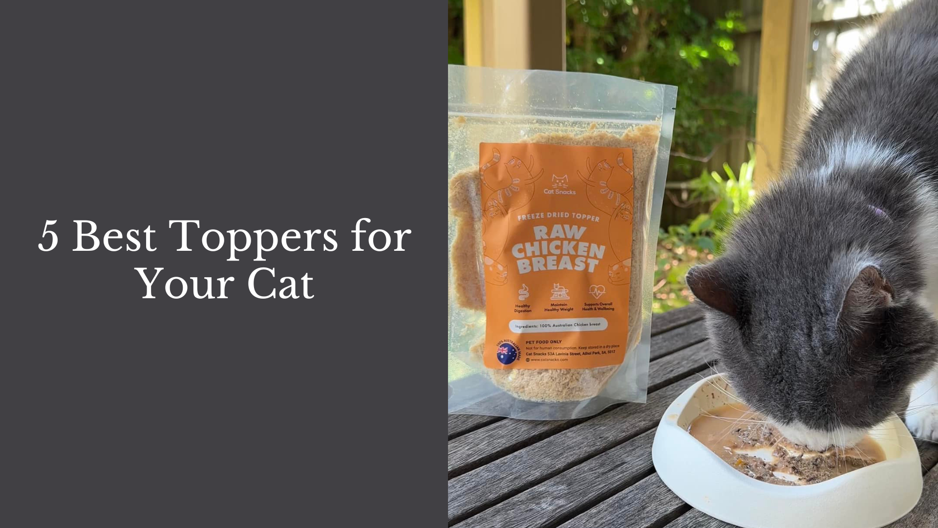 5 Best Toppers for Your Cat – Cat Snacks