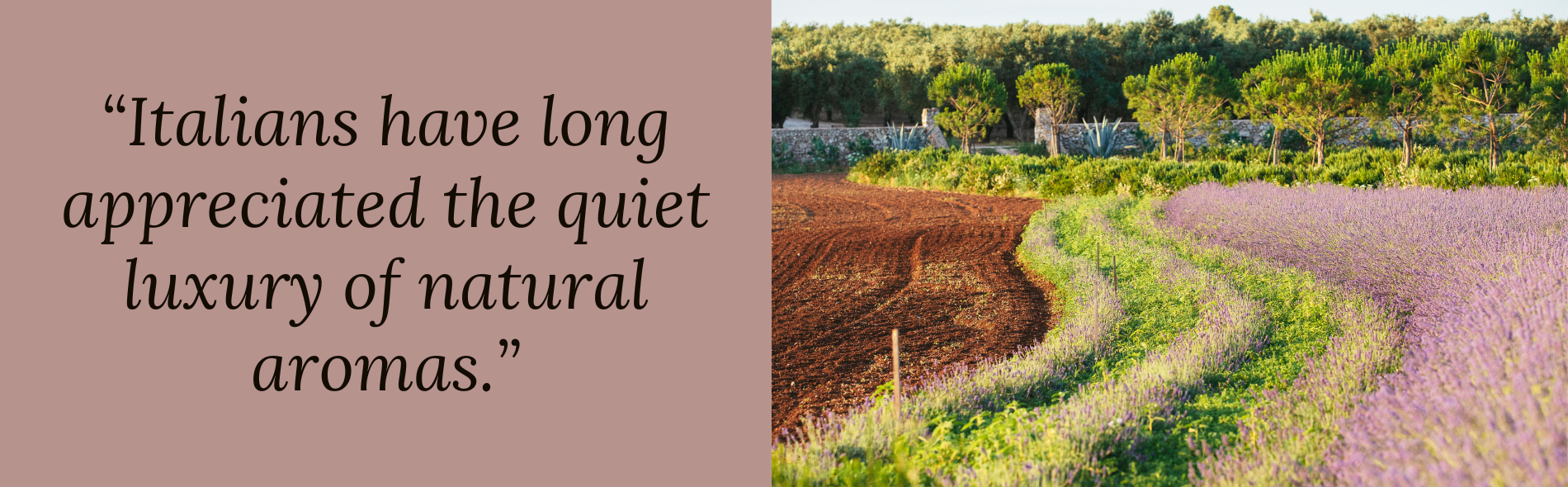 The Role of Natural Aromas in Italian Beauty & Culture