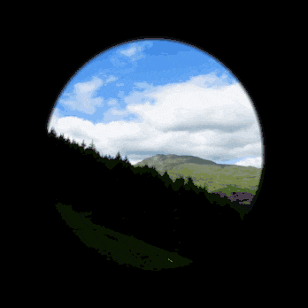 PYTHON-Explorer-10x42 – PYTHON OPTIC