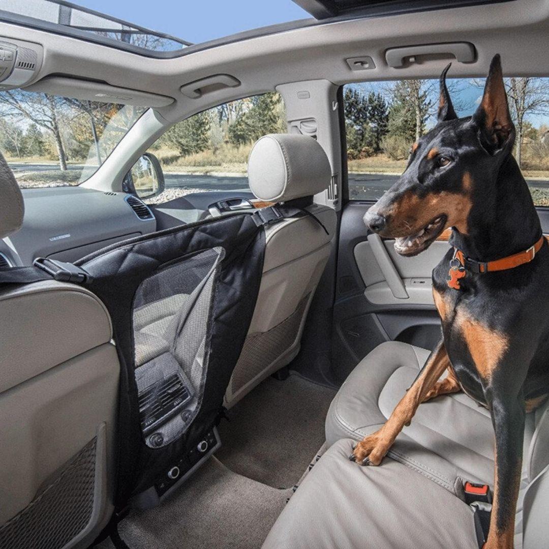 Must-Have Dog Items for Off-Roading – 4Knines®