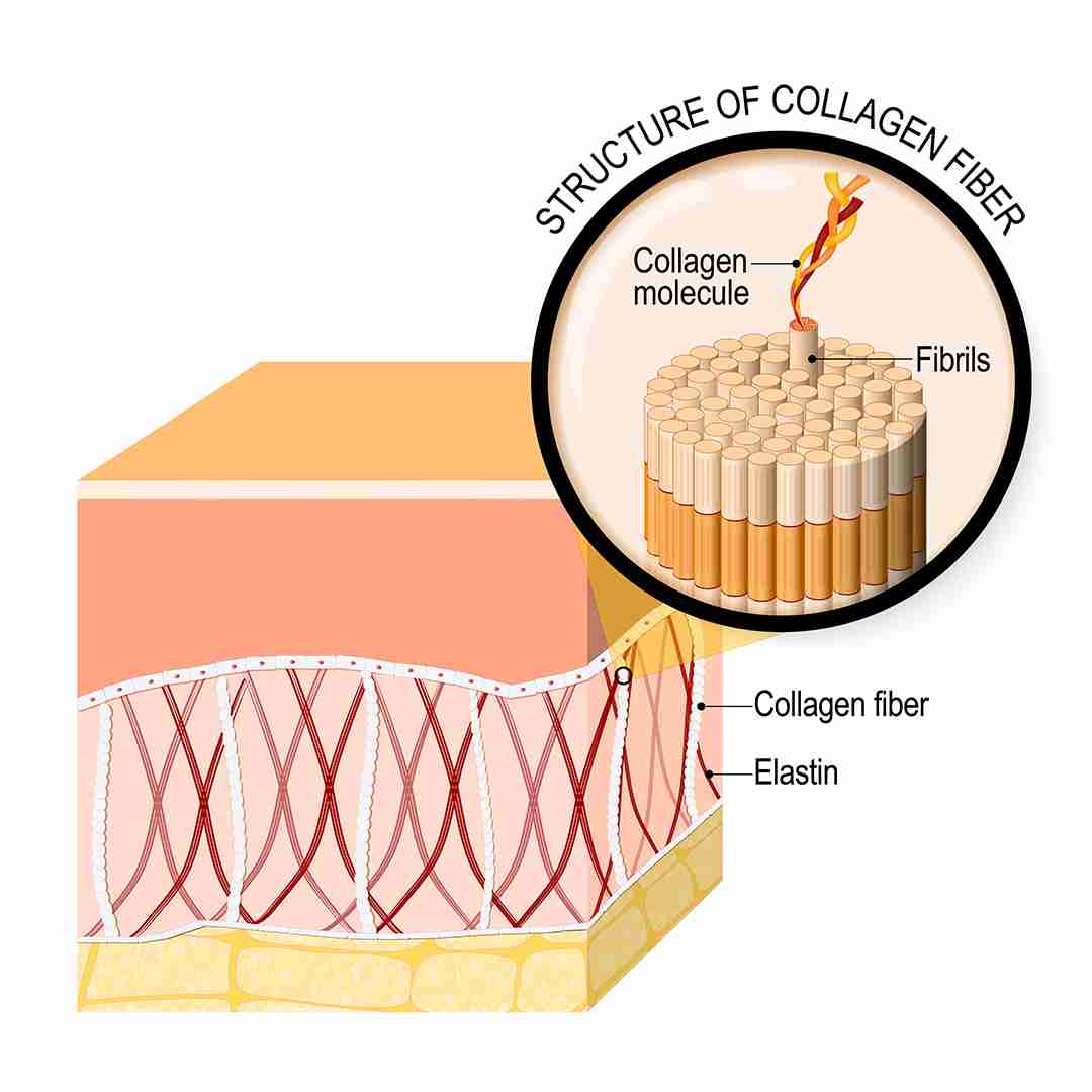 Collagen Peptides Powder - Inner Vitality