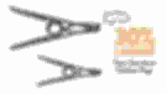 Pegasaurus Stainless Steel Clothes Peg Review – Lifestyle Clotheslines