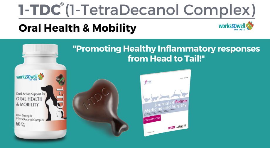 1TDC Veterinary Science Breakthrough