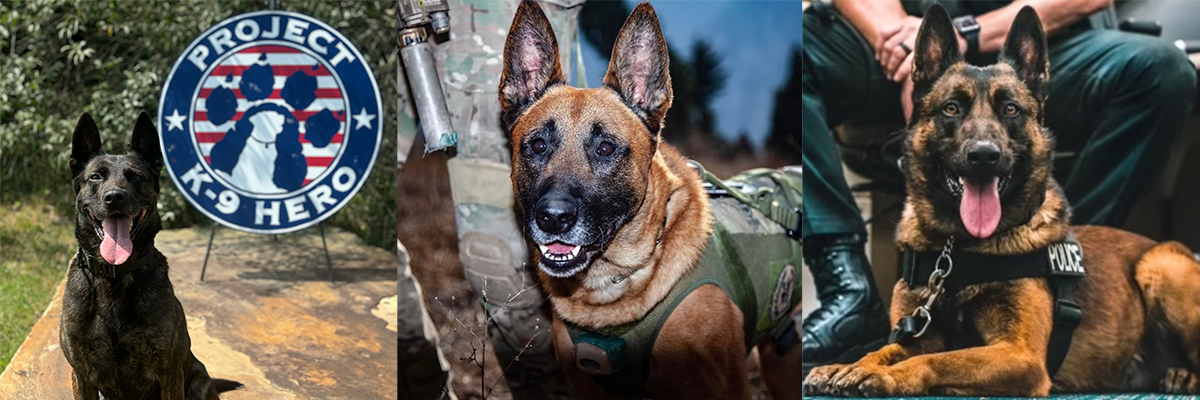 Project K-9 Hero Rehabilitation and Rehoming Facility Capital Campaign