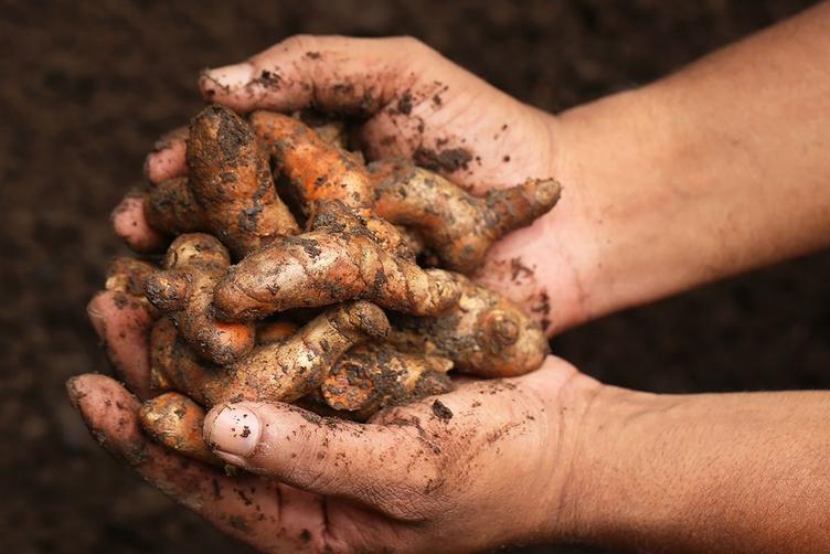 Advanced Turmeric - Say Goodbye to Stiff Joints and Regain Your Active