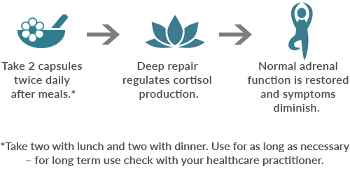 Serinisol for Stress & Insomnia — Women's Health Network