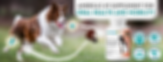 1-TDC Dental Report Card Download