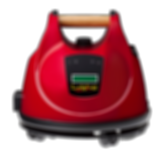 Ladybug 2350 Steam Vapor Cleaner