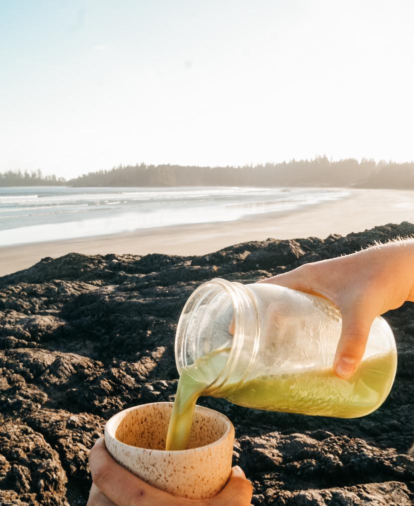 Let's Matcha - Buy Wholesale Organic Matcha In Canada