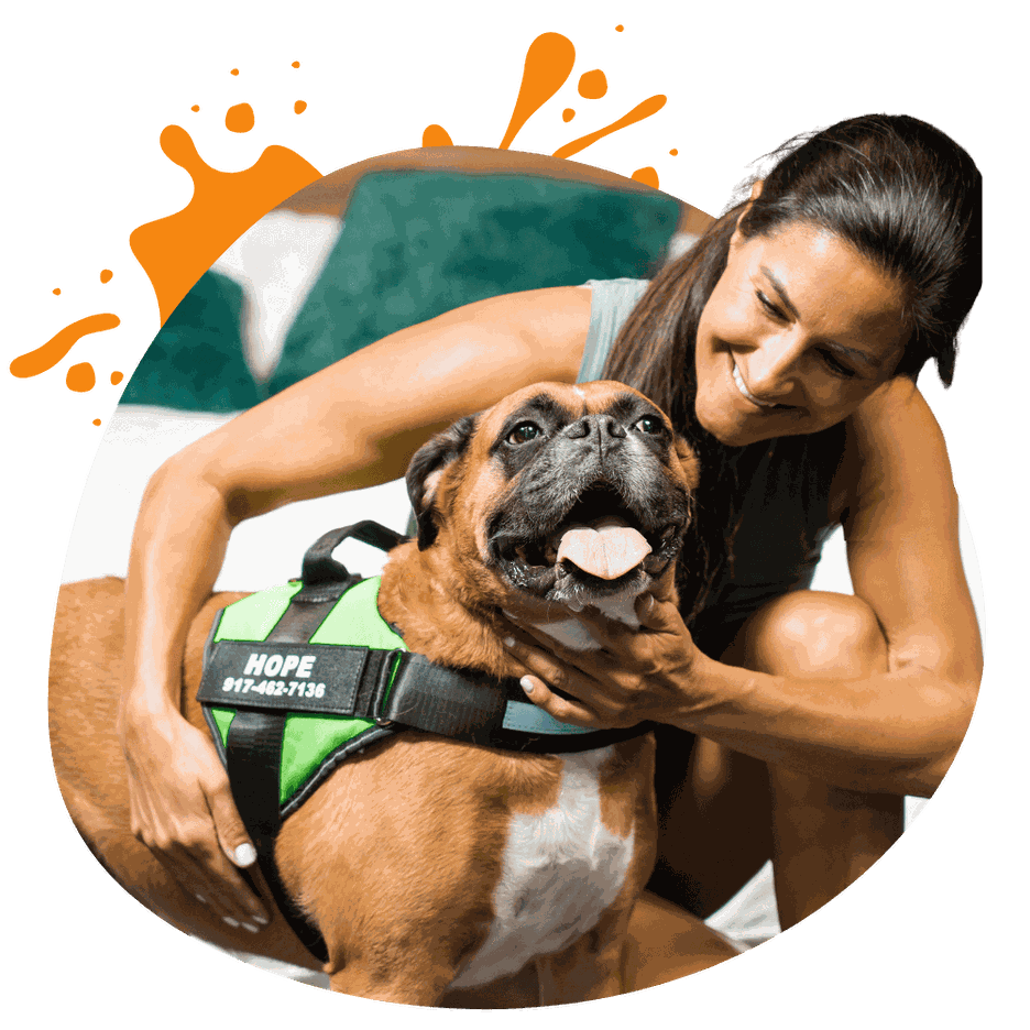 TrueHarness™ - The Personalized No-Pull Dog Harness